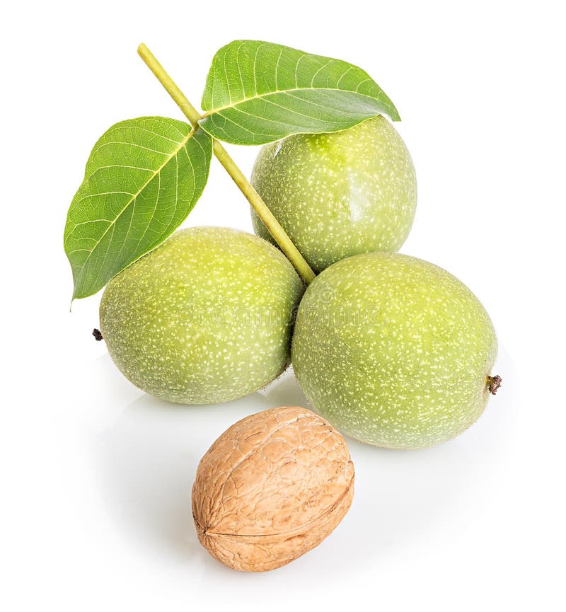 Walnuts Green Close-up Isolated Stock Photo - Image of ingredient ...