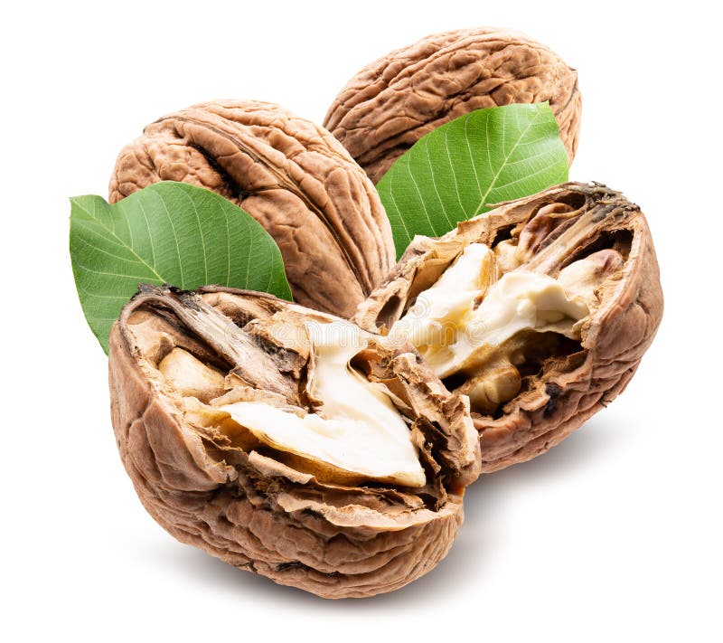 Walnuts with Green Leaves and Halves of Walnut Isolated on a White ...
