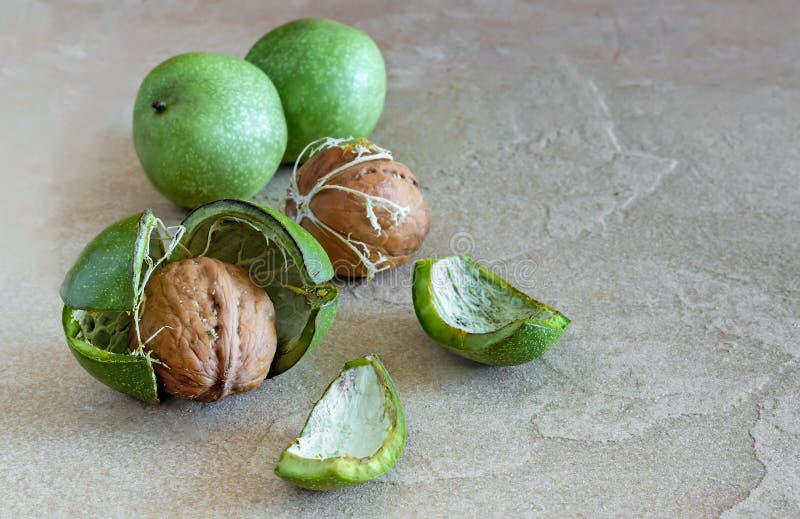Walnuts in a Green Shell on the Table Stock Photo - Image of horizontal ...