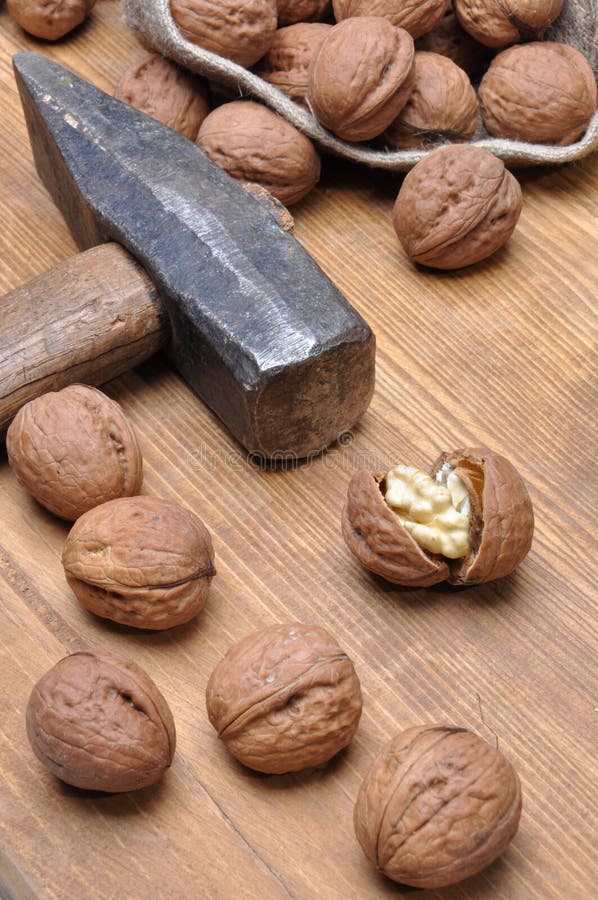 Walnut crushed by a hammer stock photo. Image of rusty - 27639146