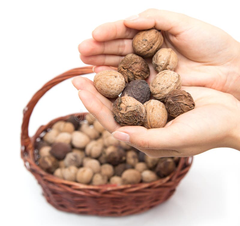 Walnuts in Hand with a Basket on a White Background Stock Photo - Image ...