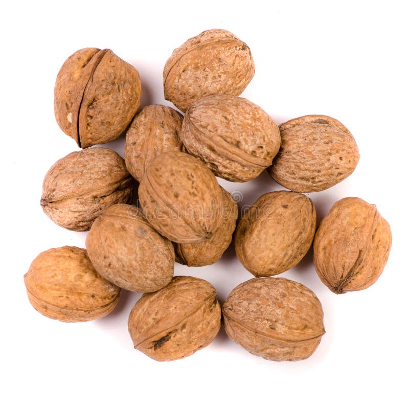 Walnuts on White Background Stock Image - Image of background, carrying ...
