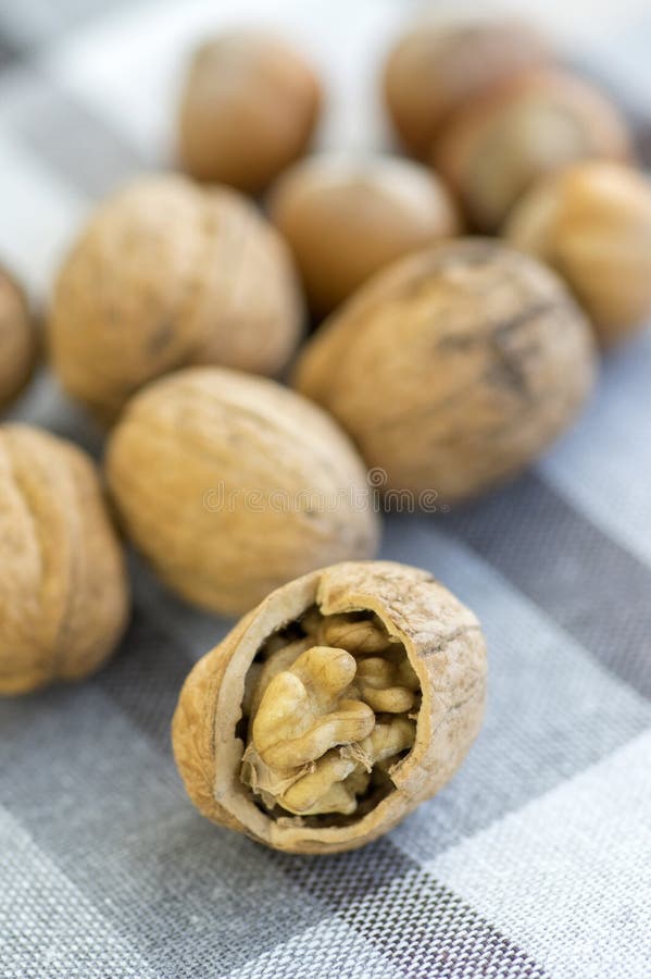 Walnuts in Hard Shells, Pile on Checkered Tablecloth, One Walnut with ...