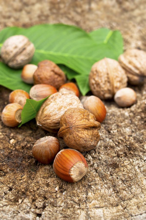 Walnuts and Hazelnut on Old Wooden Table Stock Photo - Image of fall ...