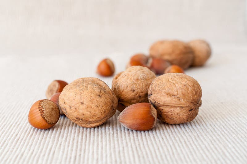 Walnuts and hazelnuts stock photo. Image of organic, autumn - 29088390