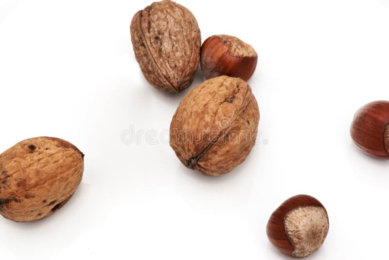 Walnuts and hazelnuts stock image. Image of detail, walnuts - 96870231