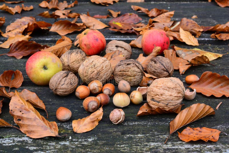 Walnuts, Hazelnuts and Wild Apples Stock Photo - Image of object, brown ...