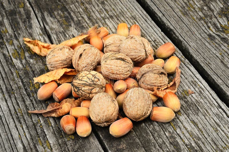 Walnuts and Hazelnuts on Wooden Background Stock Photo - Image of ...