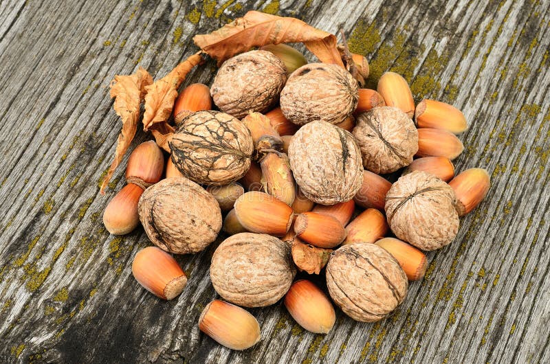 Walnuts and Hazelnuts on Wooden Background Stock Photo - Image of seed ...