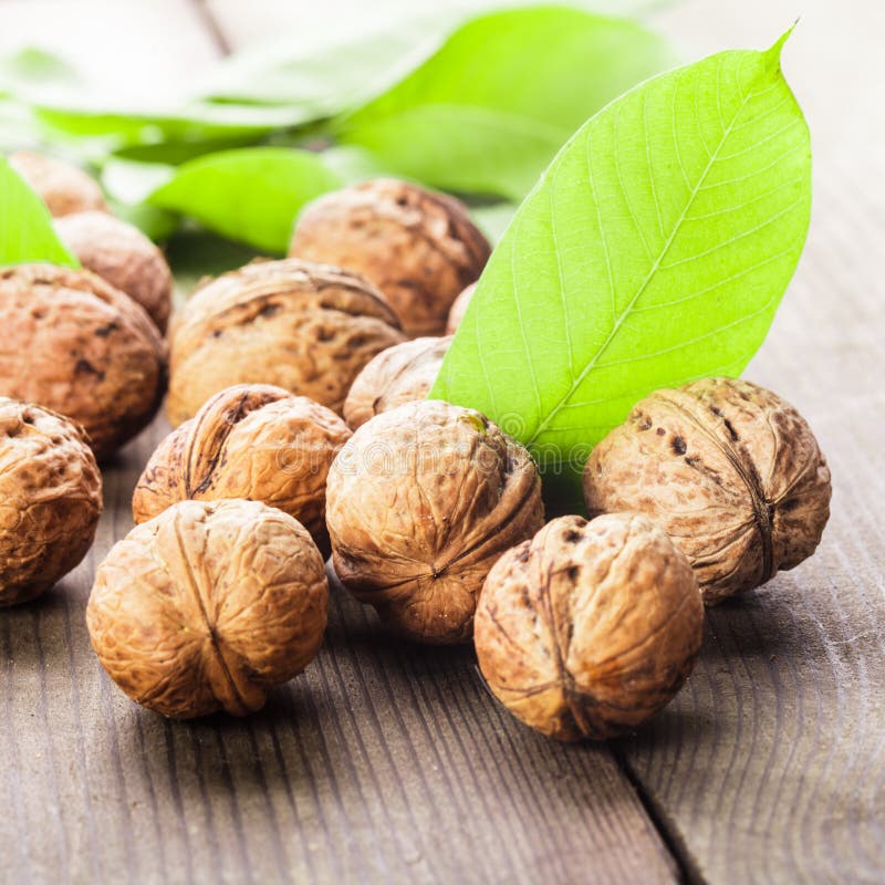 Walnuts heap stock photo. Image of healthy, organic, green - 27692656