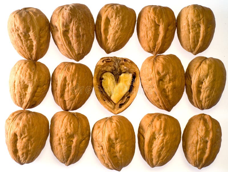 Walnuts with heart stock photo. Image of rows, christmas - 878368