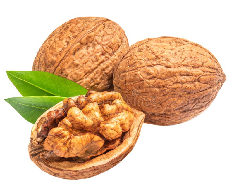 Walnuts Isolated. Fresh Walnut with Green Leaves on White Background ...