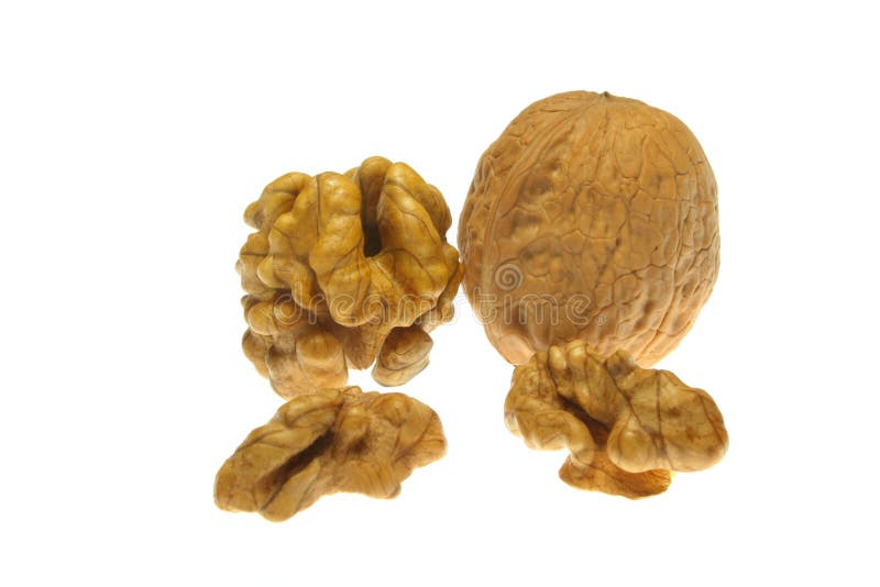 Walnuts Isolated on White Background Stock Image - Image of healthy ...