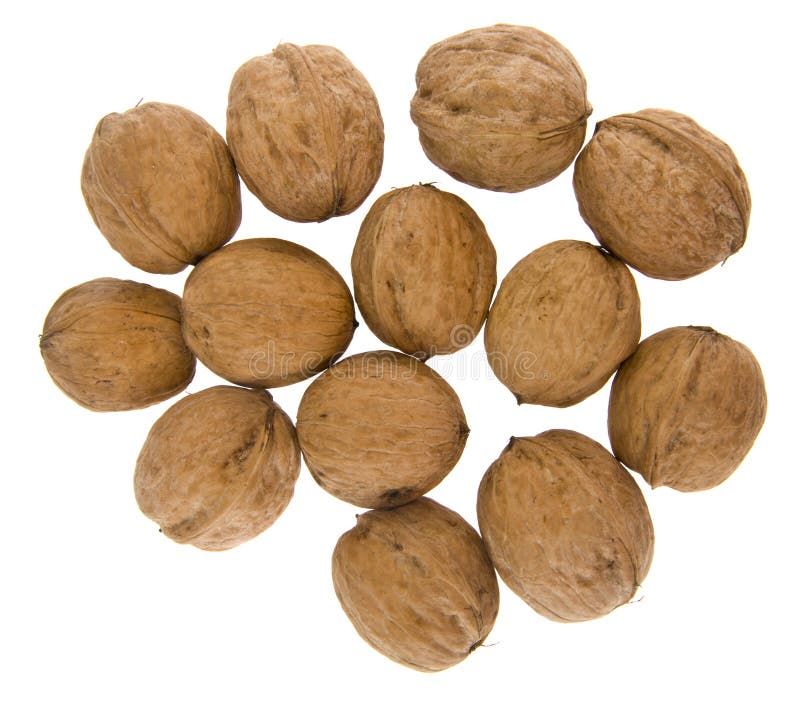 Walnuts Isolated on White Background Stock Photo - Image of isolated ...