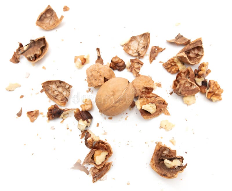 Walnuts Isolated on a White Background Stock Image - Image of natural ...