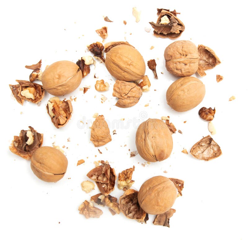 Walnuts Isolated on a White Background Stock Image - Image of macro ...