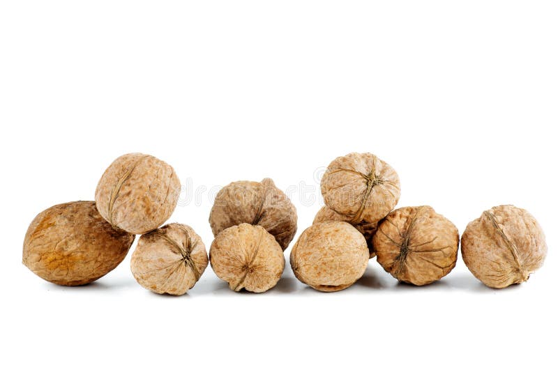 Few raw unshelled walnuts stock photo. Image of unshelled - 152218136