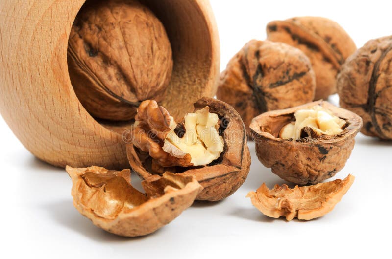 Walnuts isolated on white stock image. Image of isolated - 166289943