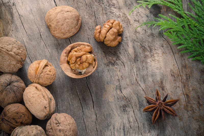 Colve Stock Photos - Free & Royalty-Free Stock Photos from Dreamstime