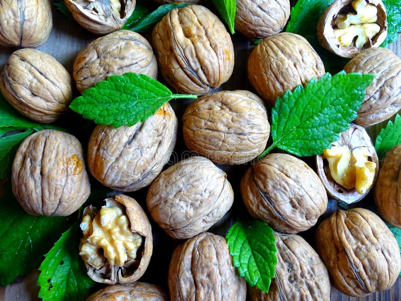 Walnuts and Lemon Balm Leaves Stock Photo - Image of market, background ...