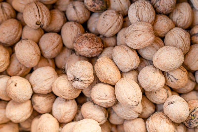 Walnuts Lie in a Box Close-up. Walnut Shell Stock Photo - Image of food ...