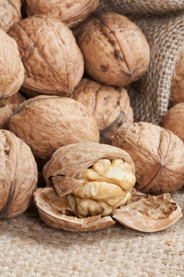 Walnut stock image. Image of eating, healthy, group, handful - 38538227