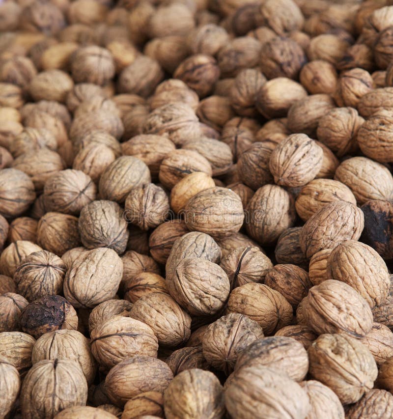 Walnuts at the Market stock image. Image of ingredient - 18933455