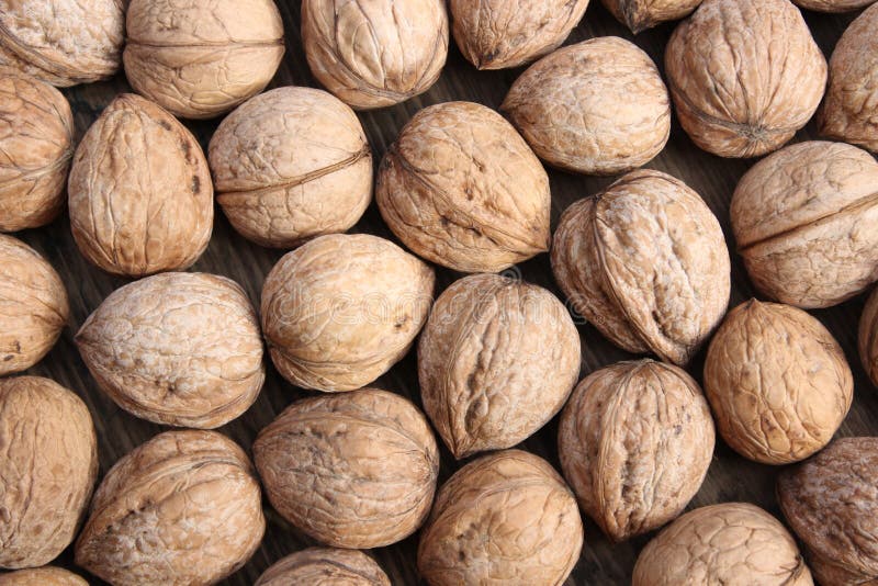 Walnuts. stock photo. Image of nutshell, delicious, kernel - 64037768