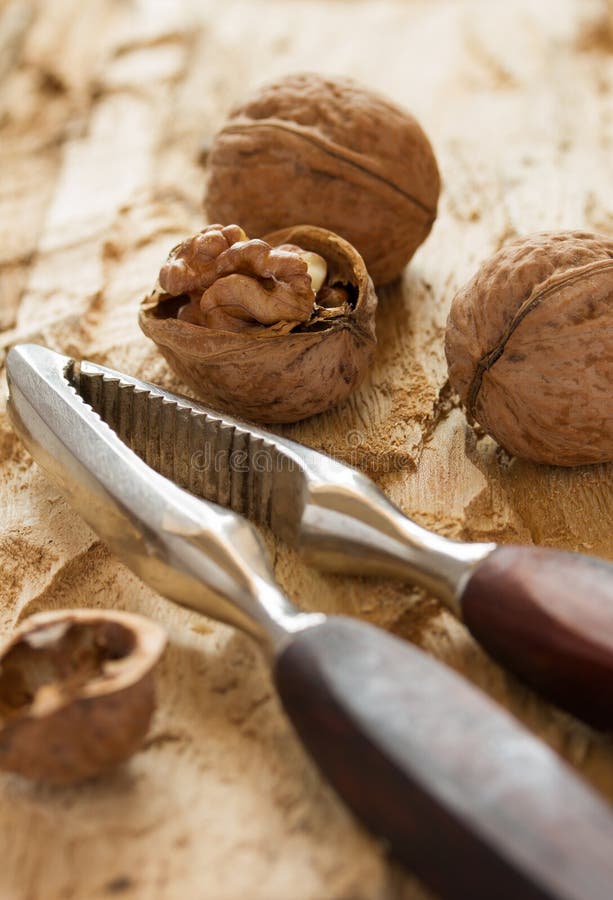 Walnuts with nutcracker stock photo. Image of broken - 26063638