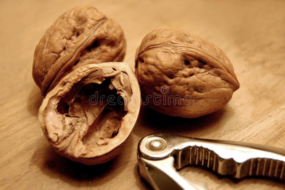 Walnuts and Nutcrackers stock image. Image of macro, organic - 1620439