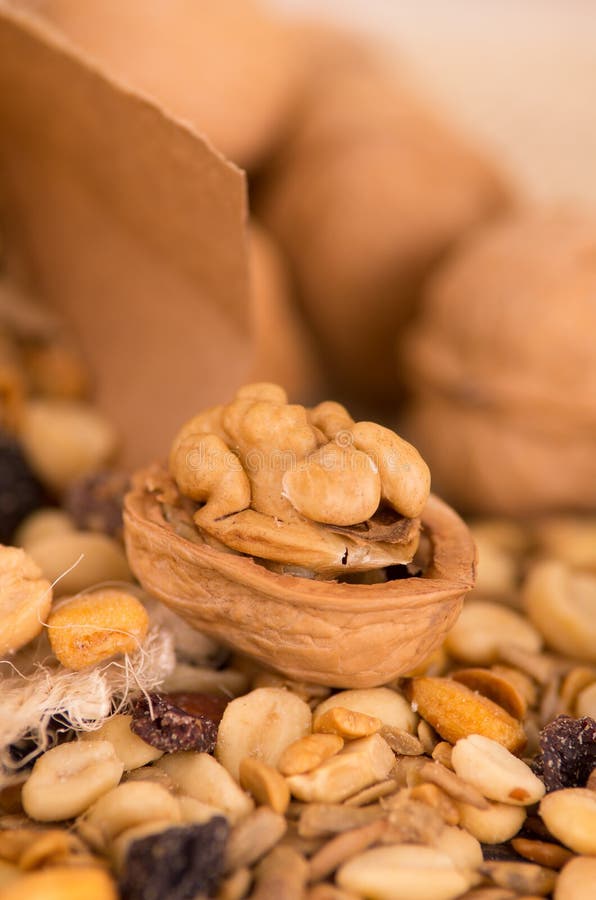Walnuts and other nuts stock photo. Image of nature, filbert - 55964950