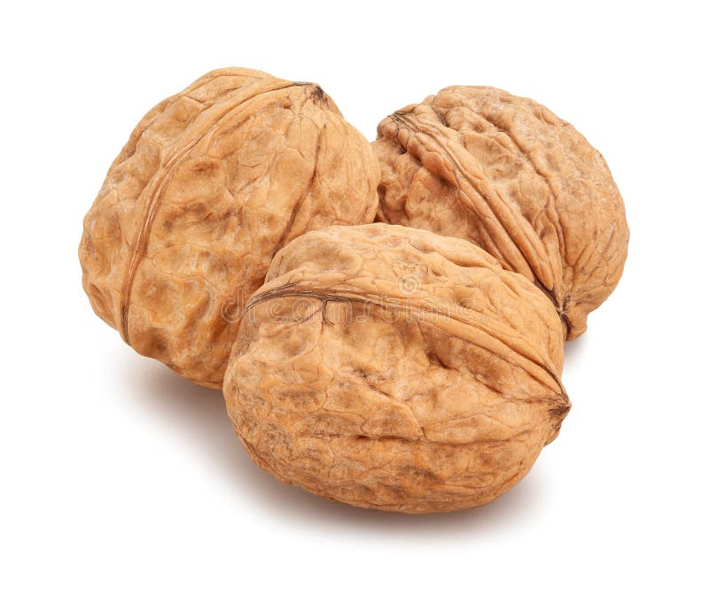 Walnuts path isolated stock photo. Image of white, closeup - 332160366