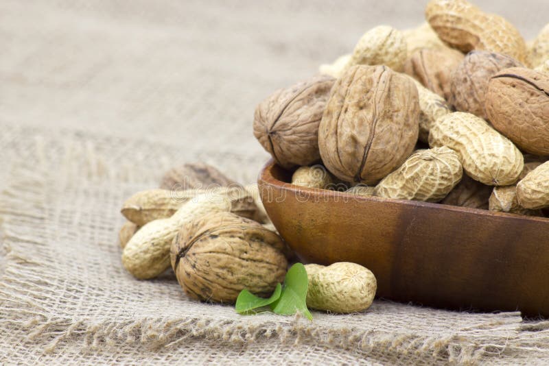 Walnuts and peanuts stock image. Image of peanut, hard - 27675445