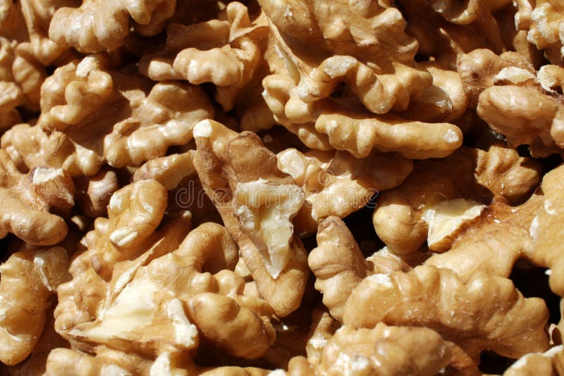 Walnuts. Peeled Walnuts Background Texture. Walnut Wallpaper Stock ...