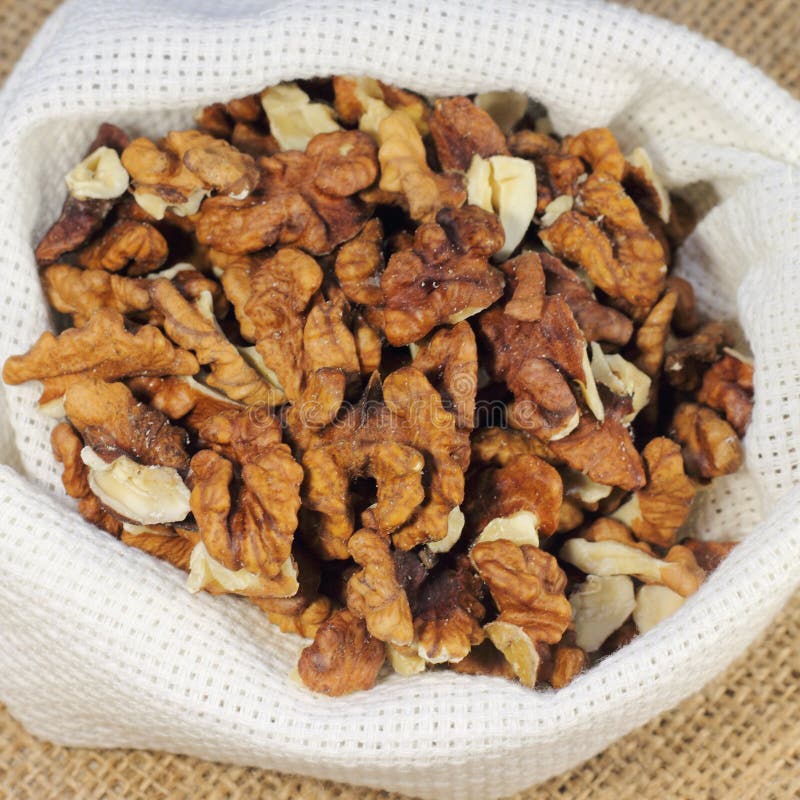 Walnuts stock image. Image of health, pouch, walnuts - 62785601