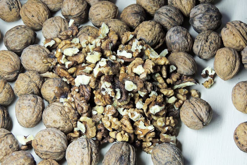 Walnuts peeled and whole stock photo. Image of isolated - 80179820