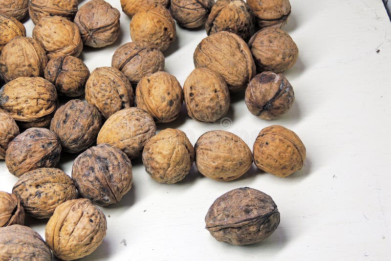 Walnuts peeled and whole stock photo. Image of open, natural - 80180124