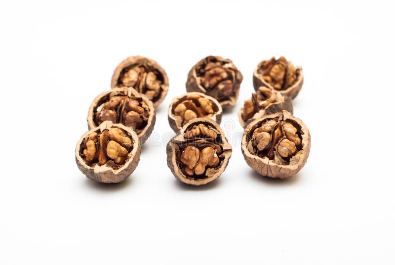Walnuts stock image. Image of nature, vegetable, healthy - 53030789