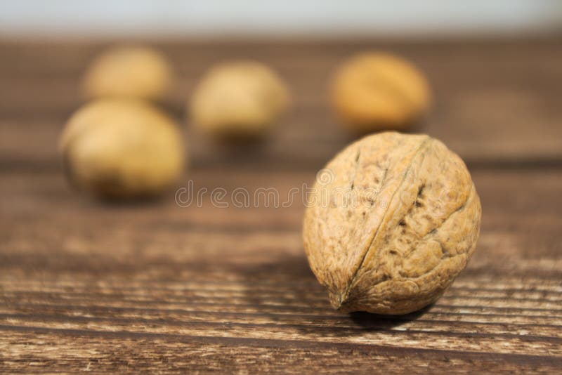 Walnuts. stock photo. Image of rough, boards, porous - 62607904