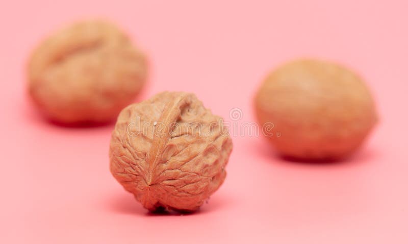 Walnuts on a Pink Background Stock Photo - Image of dried, healthy ...