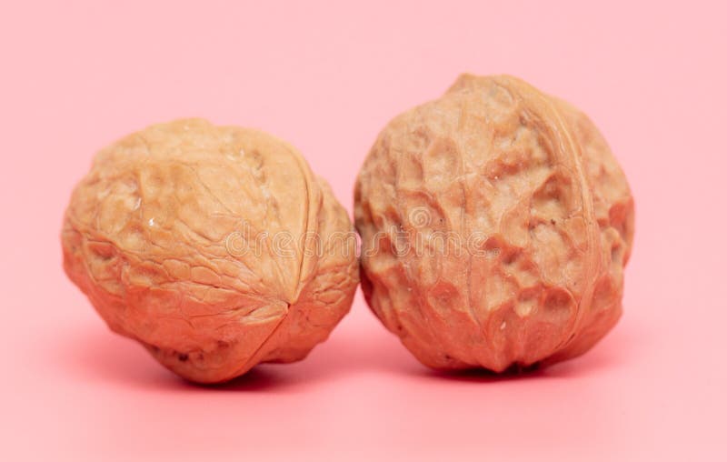 Walnuts on a Pink Background Stock Photo - Image of nature, natural ...