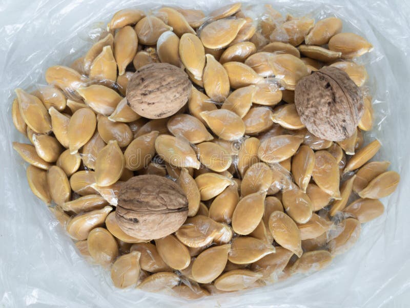 3 Walnuts among Pumpkin Seeds in Shells Stock Photo - Image of close ...