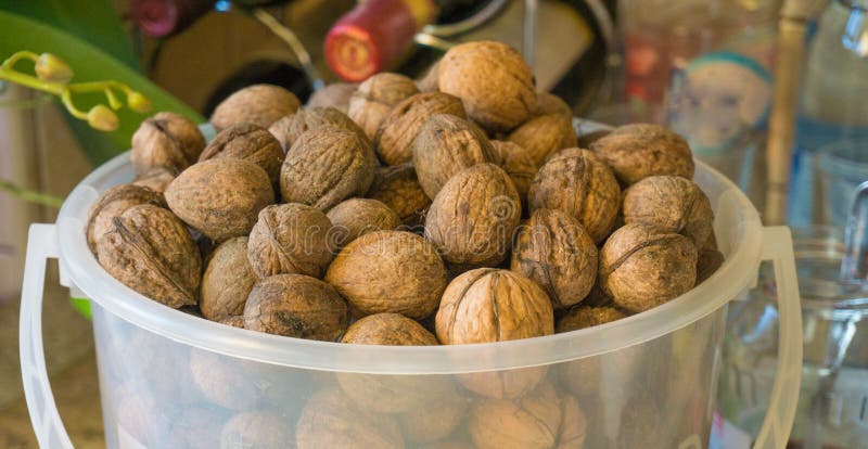 Walnuts stock photo. Image of tasty, household, container - 78544202