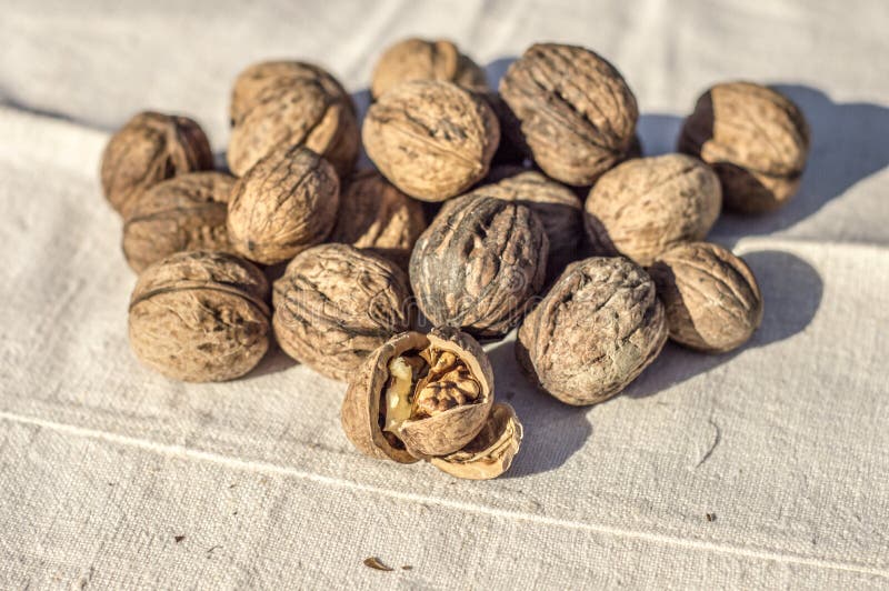 Walnuts on a Rustic Material Stock Photo - Image of healthy, nature ...