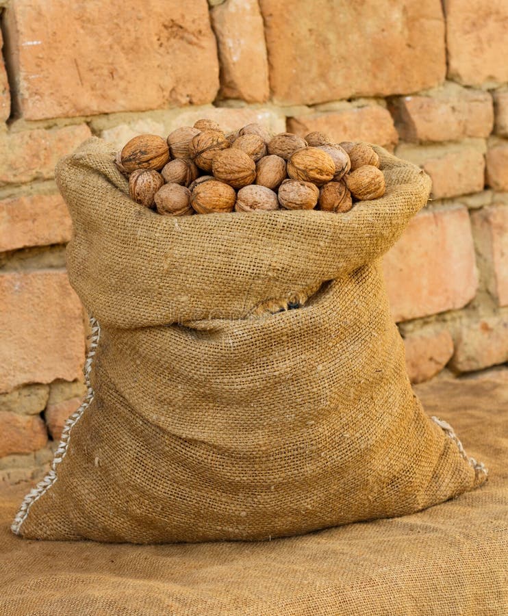 Walnuts stock photo. Image of burlap, tasty, healthy - 35021420