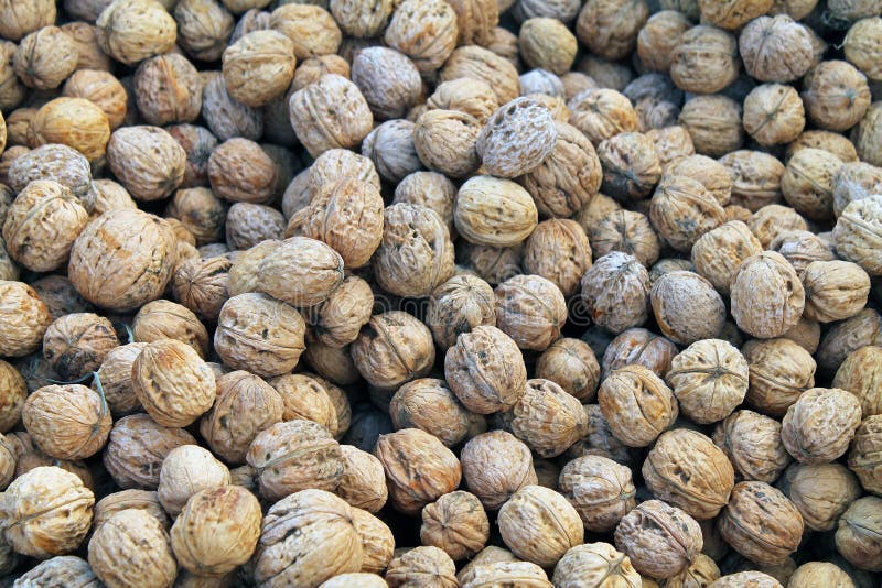 Walnuts for Sale in Yellow Open Woven Bags. Stock Image - Image of ...
