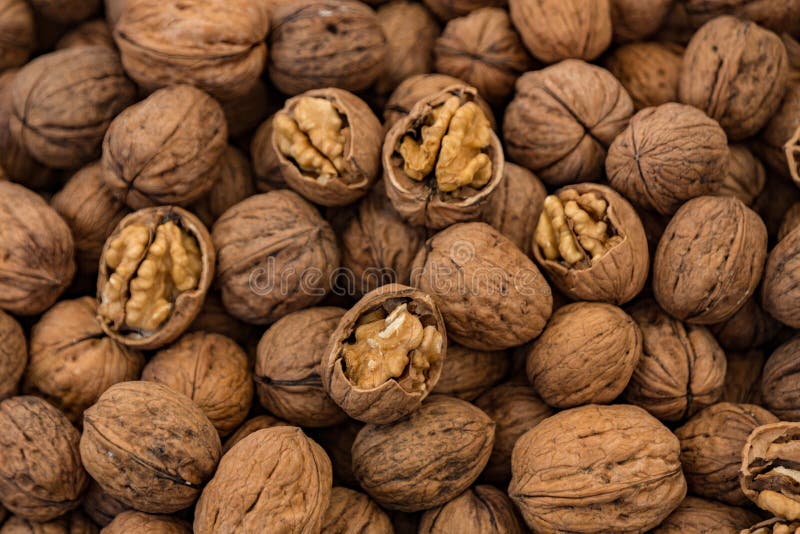 Walnuts for sale stock image. Image of dried, nature - 98170509