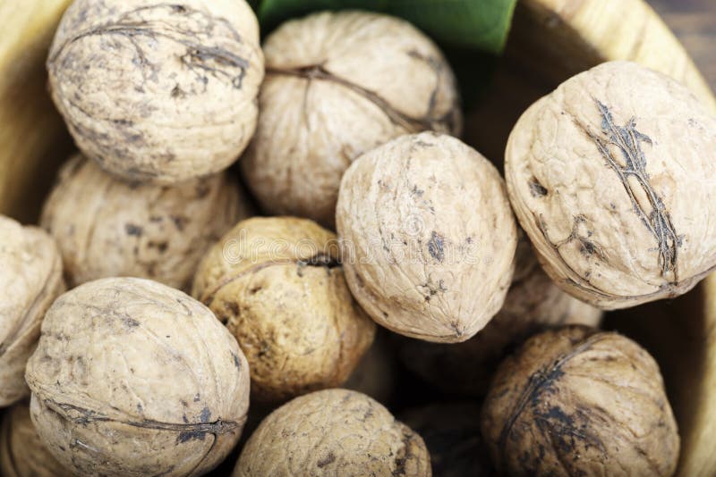 Walnuts in shell closeup stock photo. Image of heap - 118080876
