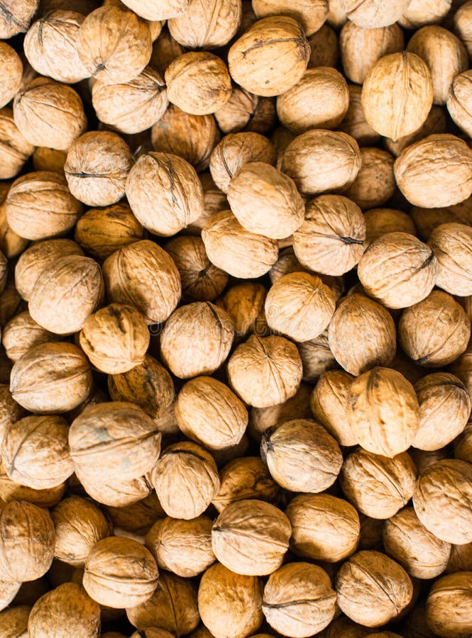 Walnuts in shell stock image. Image of natural, nutty - 61268219