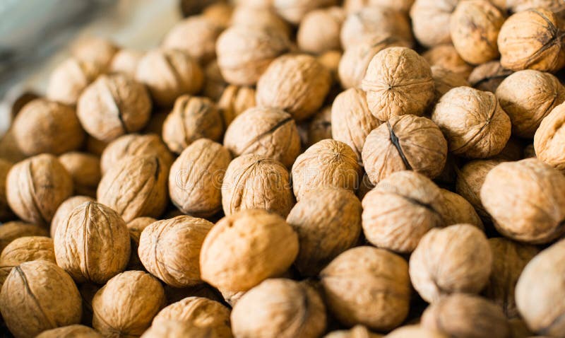 Walnuts in shell stock photo. Image of agriculture, hull - 65323750